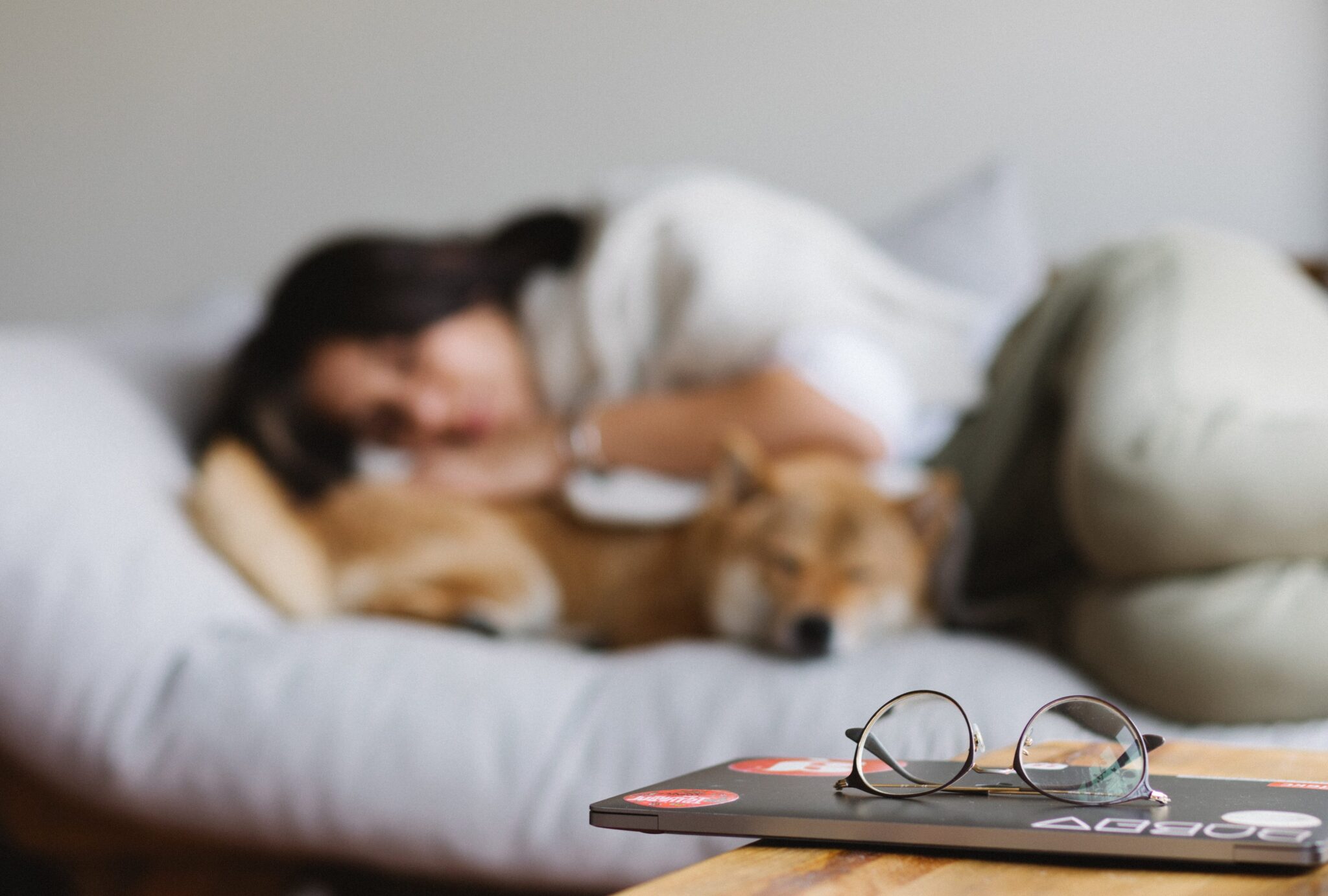 Qué usar para el mal aliento de los perros: consejos efectivos para ...